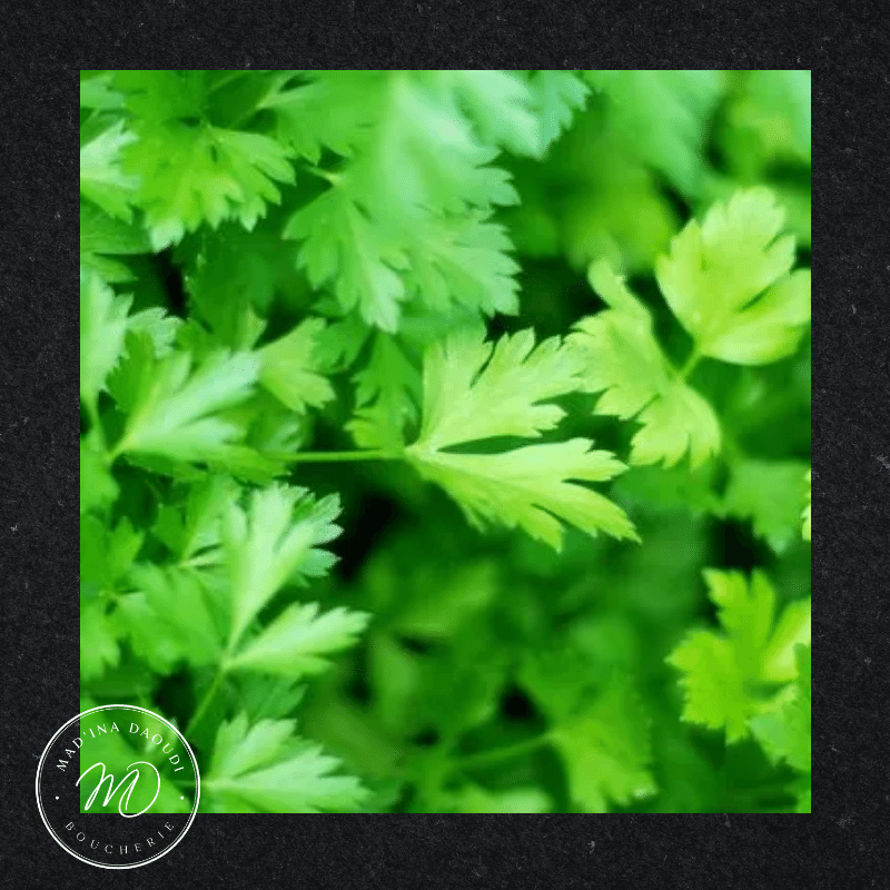 Pack 3 bottes de Persil - Boucherie Mad'Ina Daoudi
